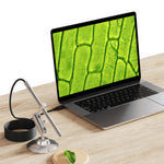MS100 Portable USB Microscope: Handheld Digital Microscope Camera with ...