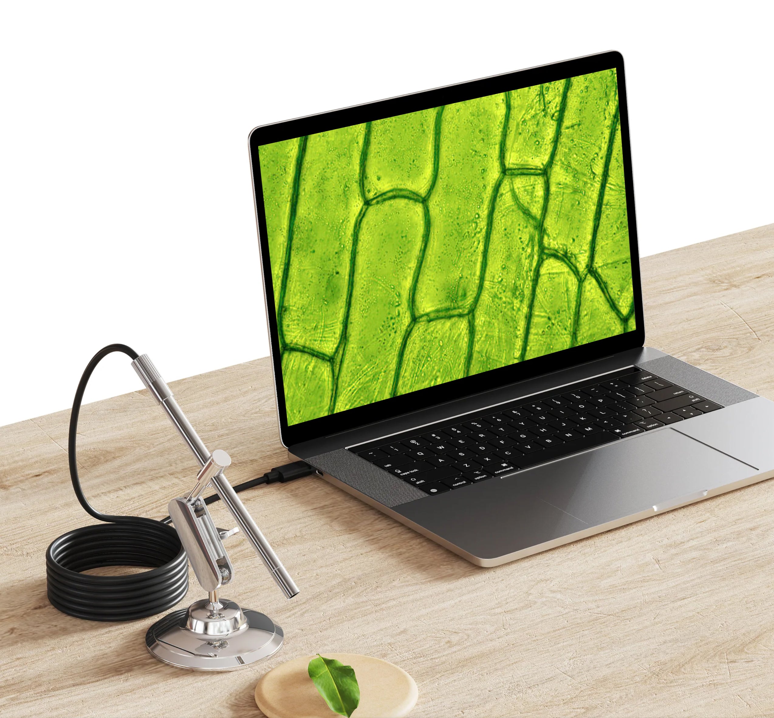 MS100 Portable USB Microscope: Handheld Digital Microscope Camera with ...